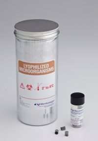 Environmental Express